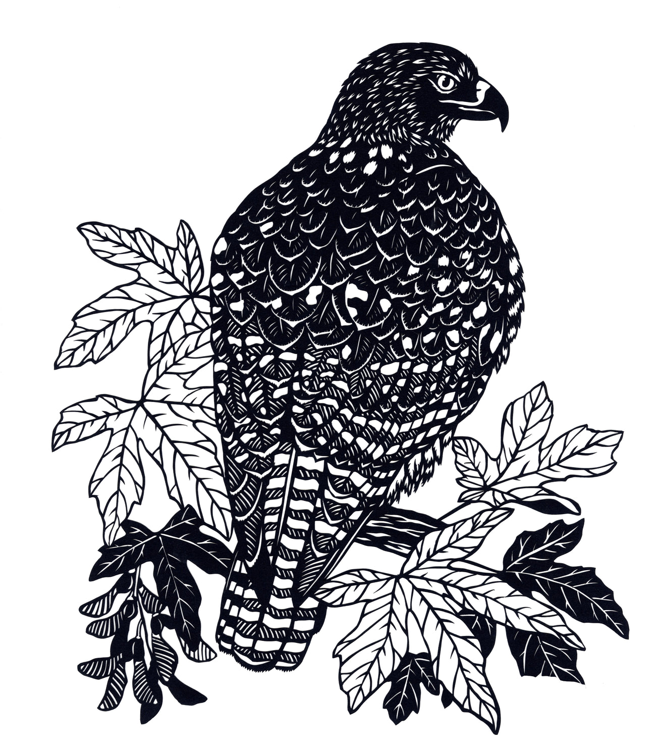 Perch, Flutter, Soar Exhibition Opening Reception – monca